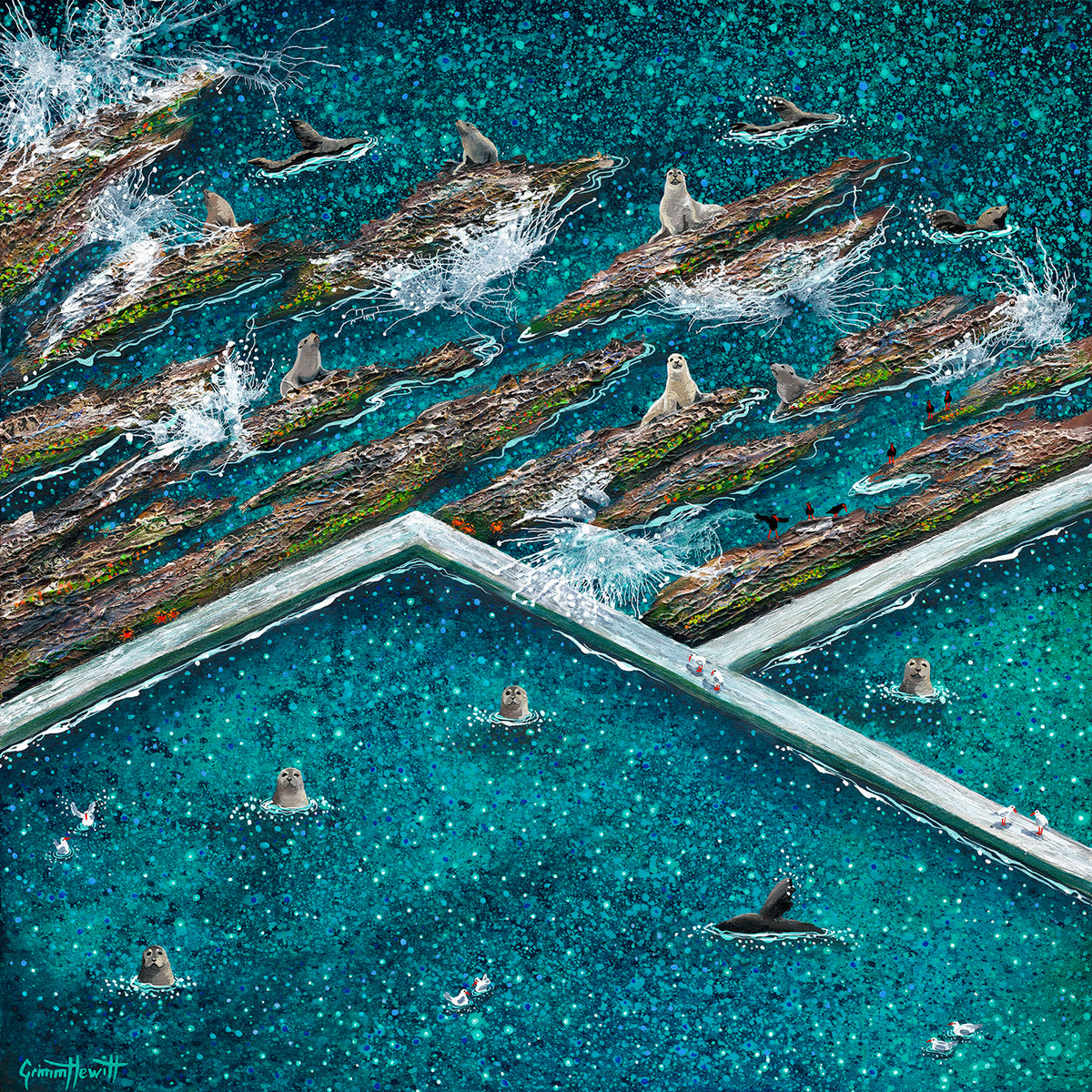 'Seal Party at Blue Pool - Bermagui' - Print – Grimm-Hewitt Art Gallery