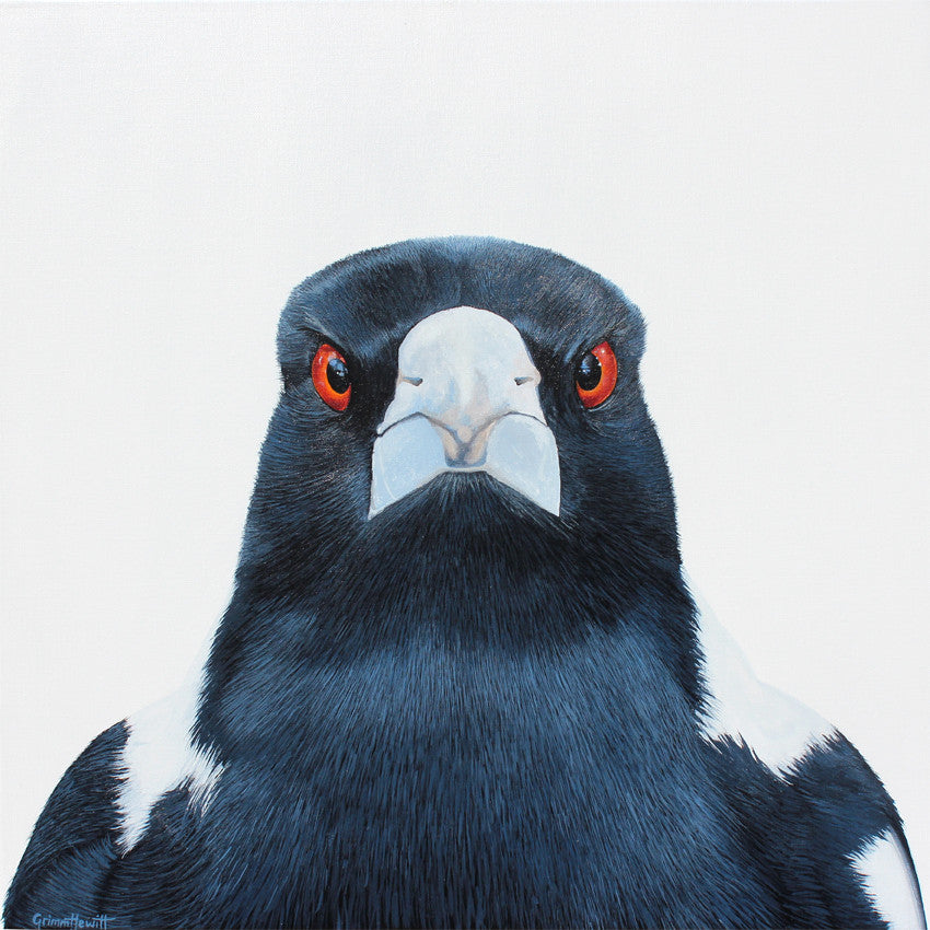 'Bird - Magpie Stare' Print – Grimm-Hewitt Art Gallery